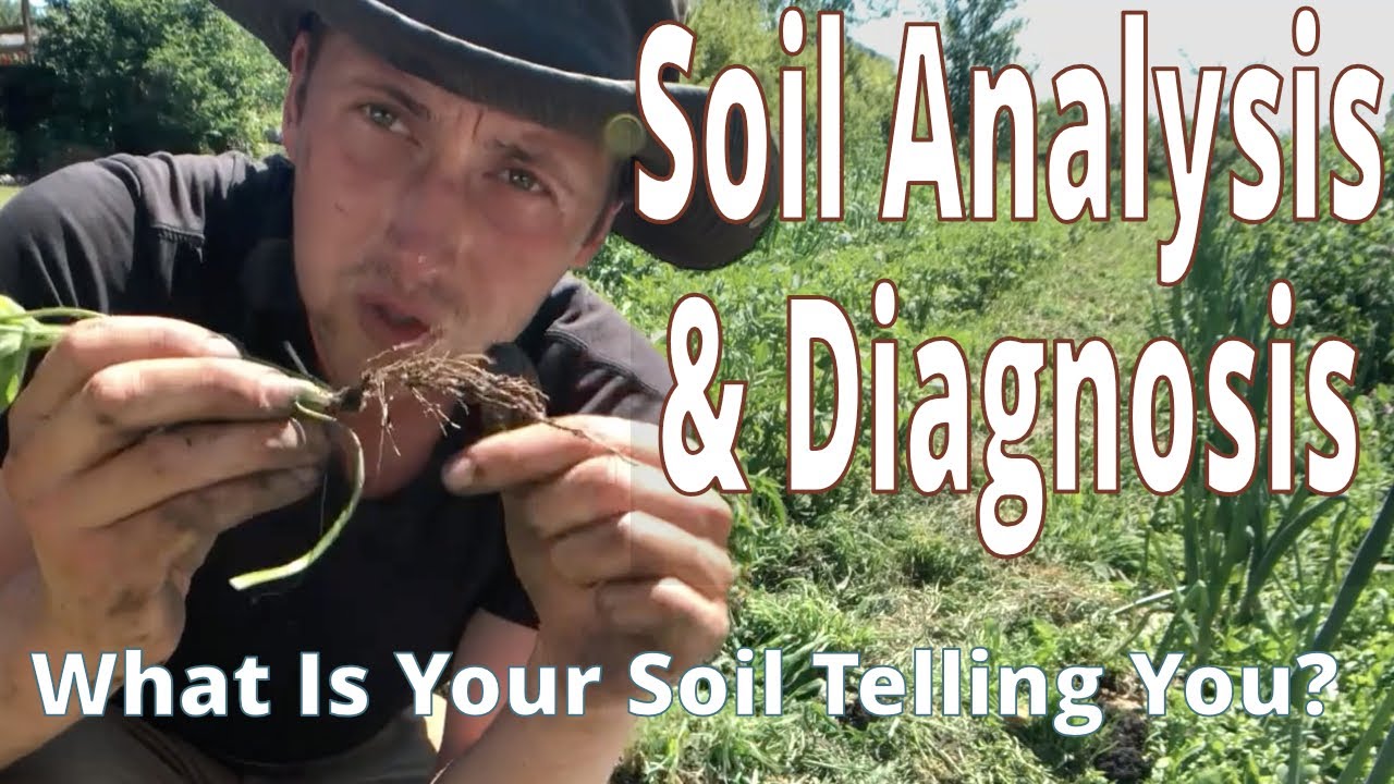 My Visual Soil Health Assessment Process - YouTube