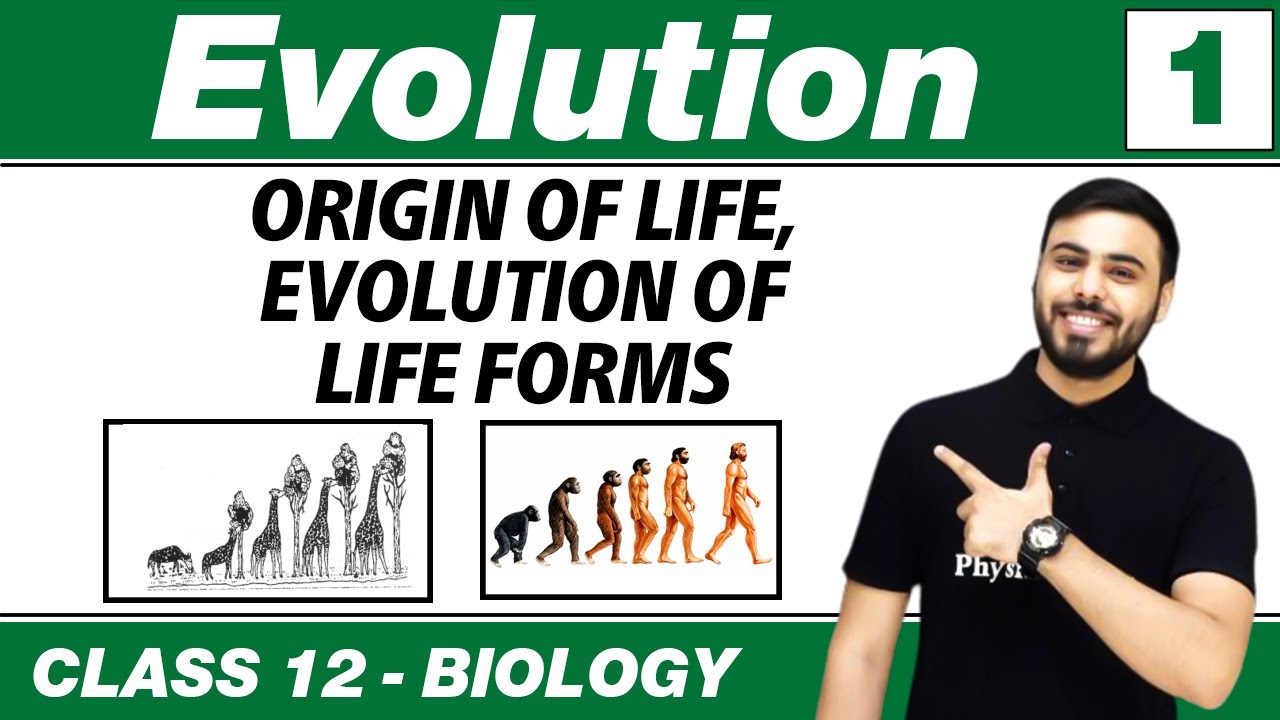 Evolution 01 : Origin of Life, Evolution of Life forms | Class 12 NCERT ...