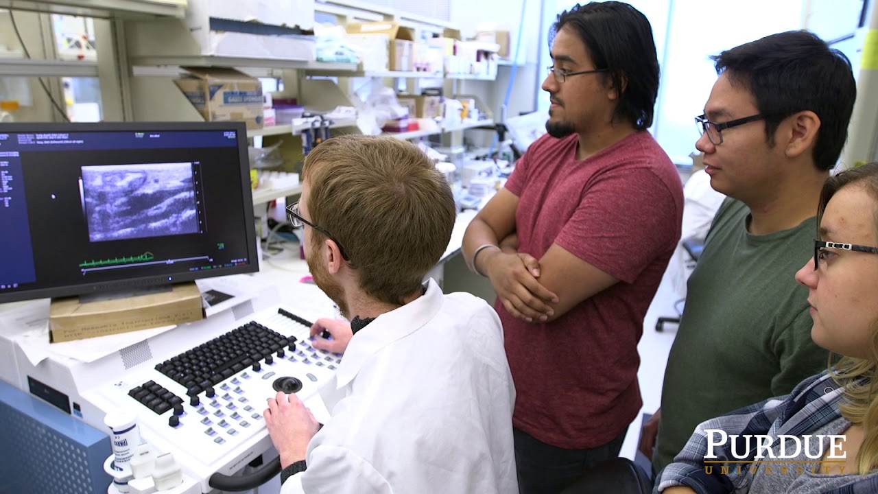 IBSC Overview - YouTube