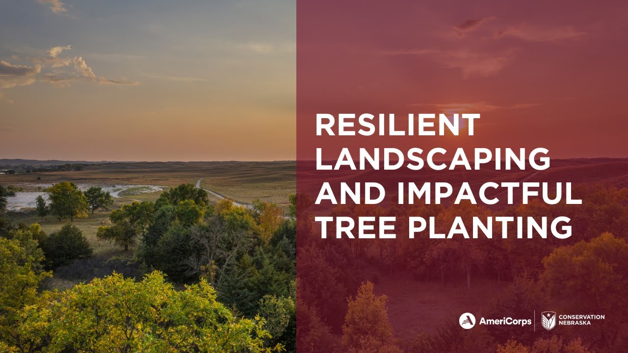 Resilient Landscapes and Impactful Tree Planting - YouTube