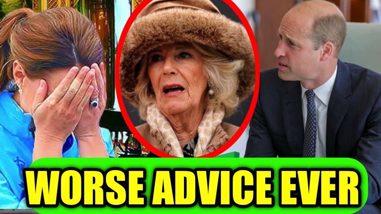 Queen Camilla once advised Kate Middleton to dump Prince William amid cheating rumours and ...