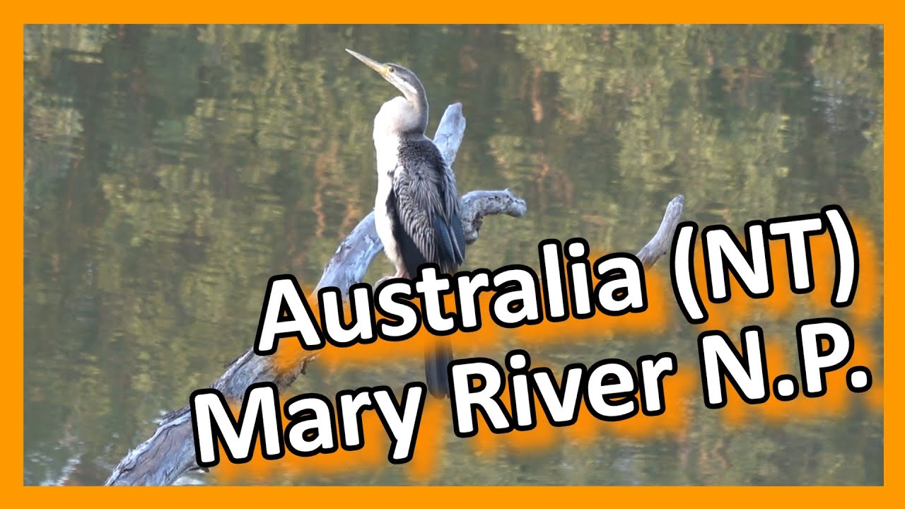 Australia - Northern Territories - Mary River National Park - YouTube