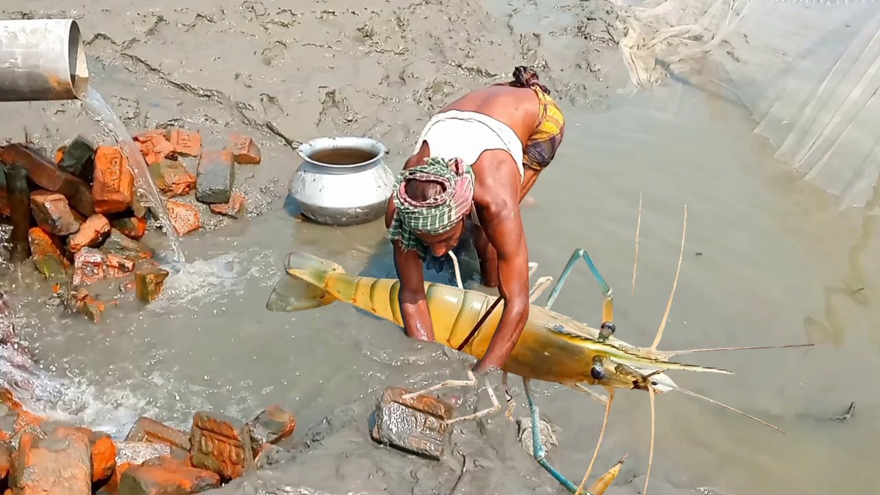 oh my God||পানি থেকে ইট সরিয়ে এত চিংড়ি মাছ ধরা কিভাবে সম্ভব?||Prawn ...