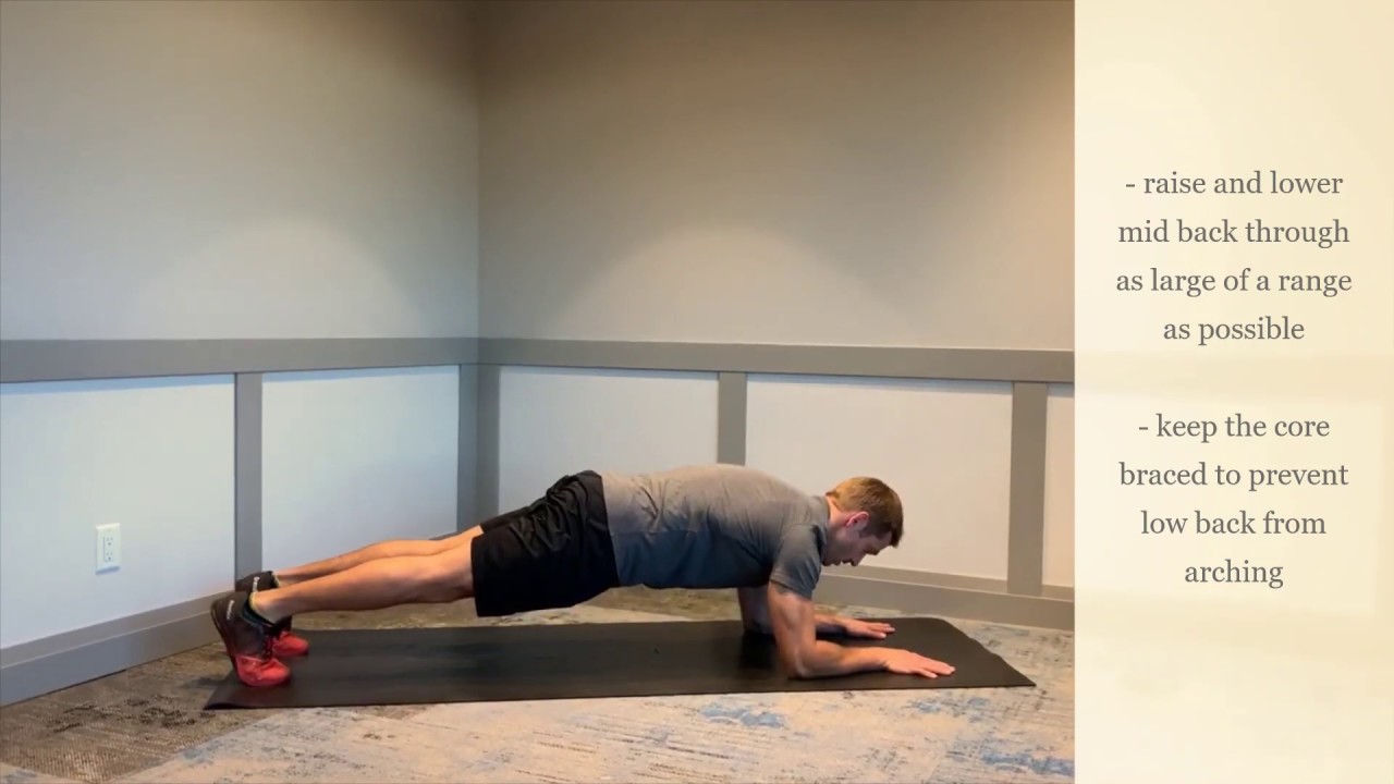 Low plank scapula raises - YouTube