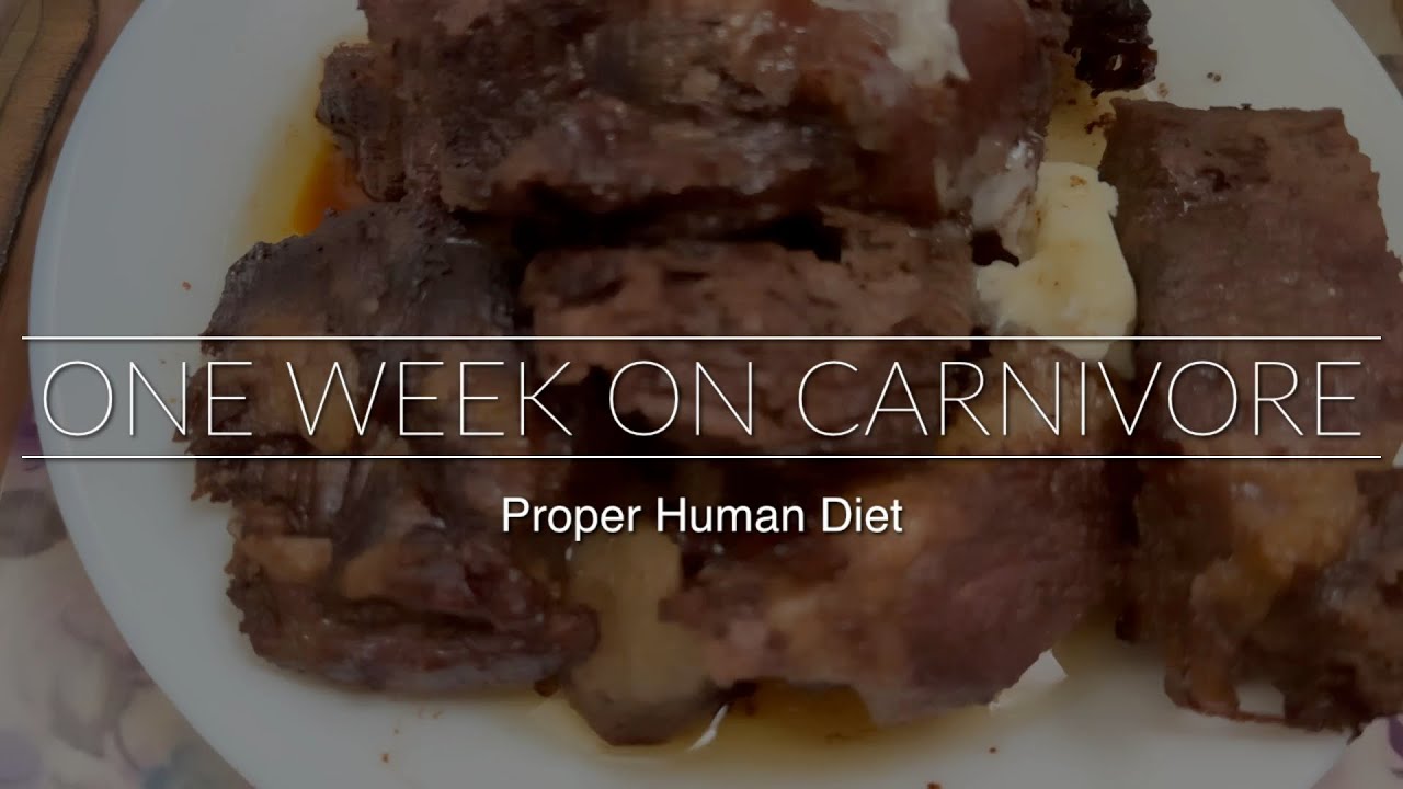 One Week on Carnivore Proper Human Diet. I Ate Ribeye Steak With Butter ...