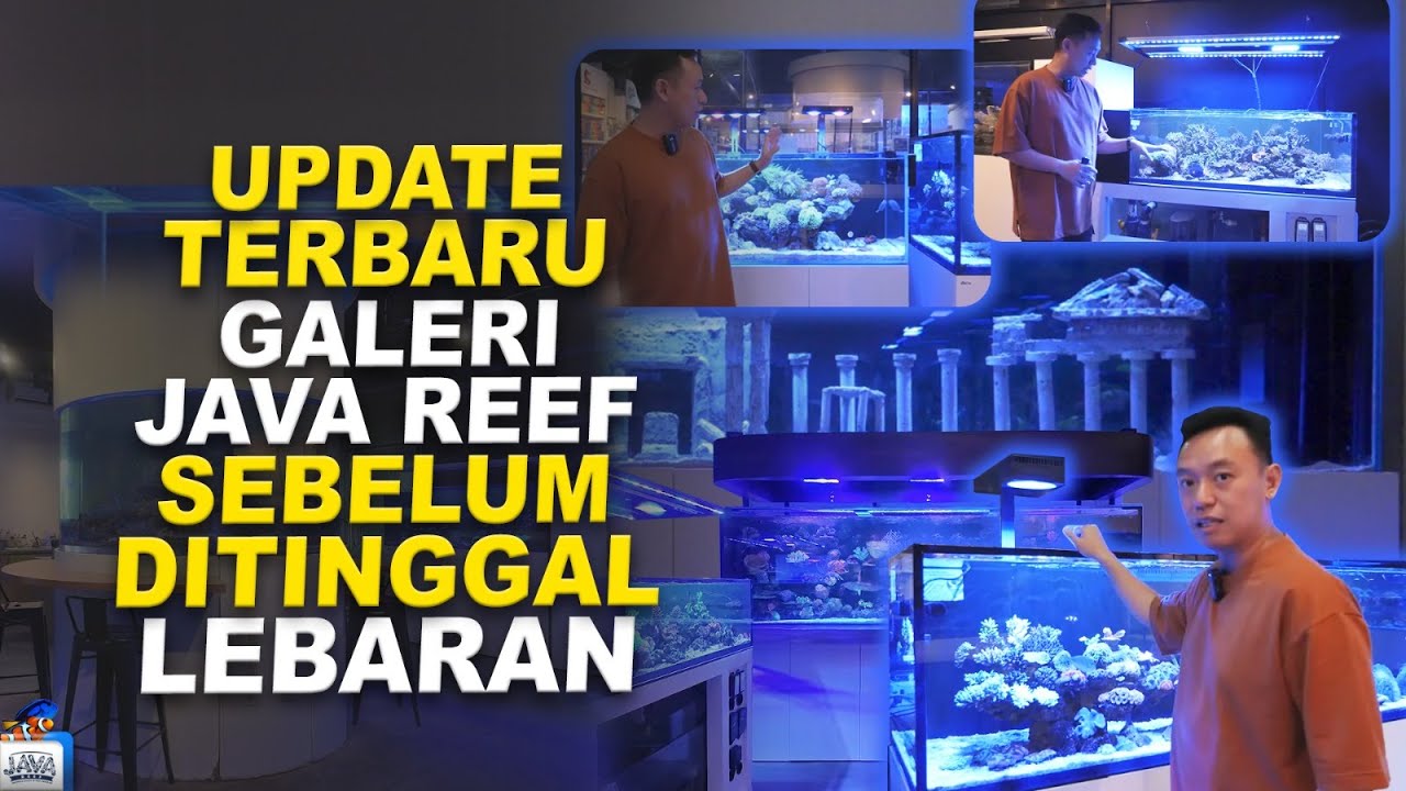 KONDISI AKUARIUM LAUT GALERI JAVA REEF SEBELUM MUDIK LEBARAN - YouTube