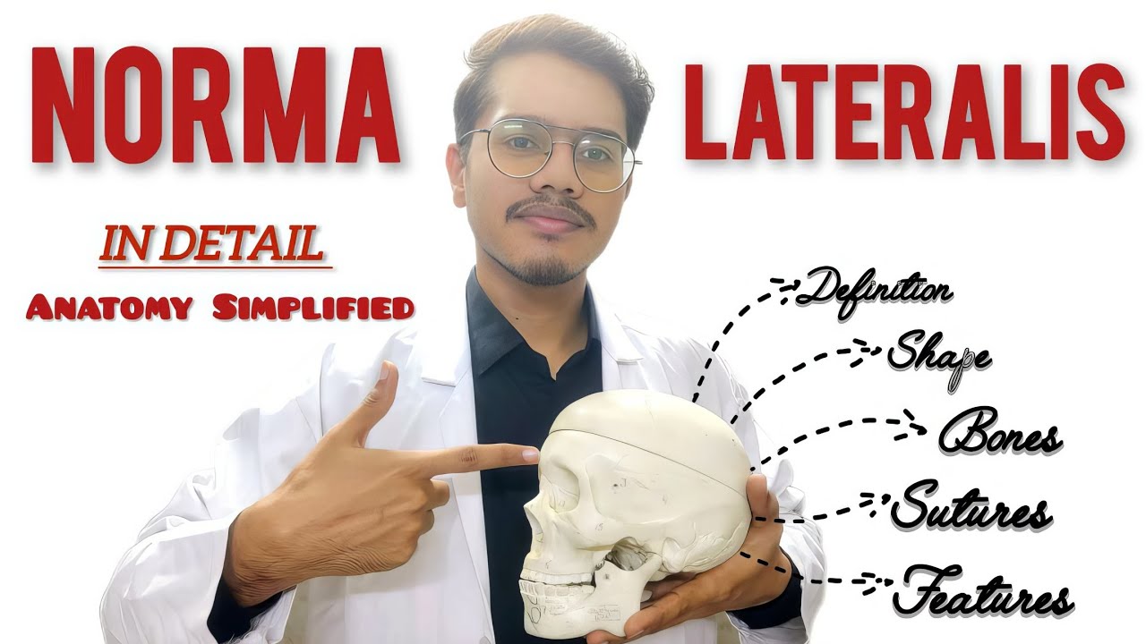 NORMA LATERALIS Explained | Skull Anatomy Simplified with Sutures ...