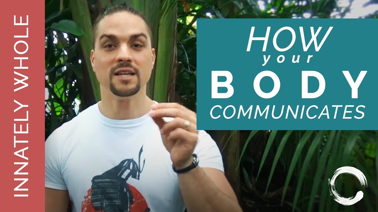 How your Body Communicates with you | BODY POWER - YouTube
