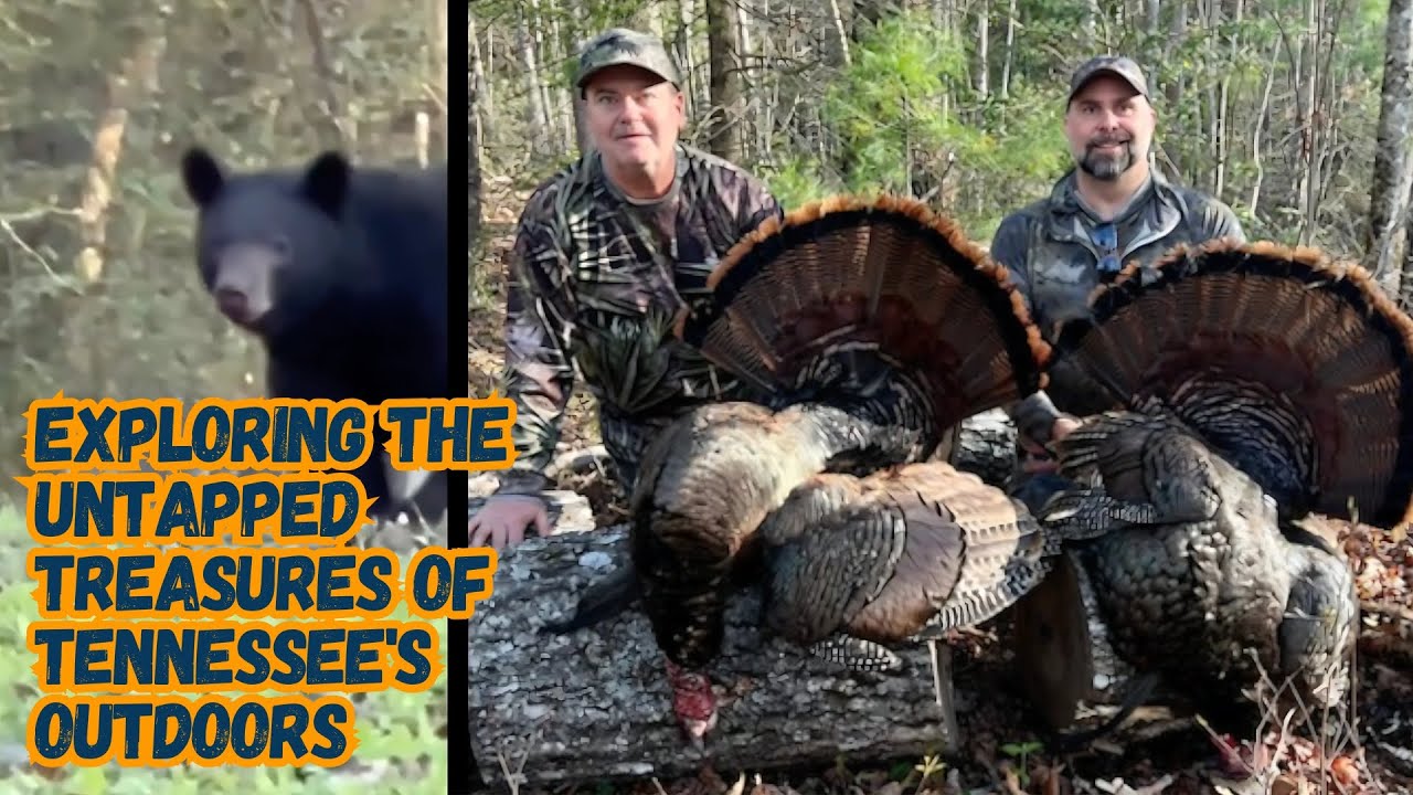 Exploring the Untapped Treasures of Tennessee's Outdoors - TN WildCast ...