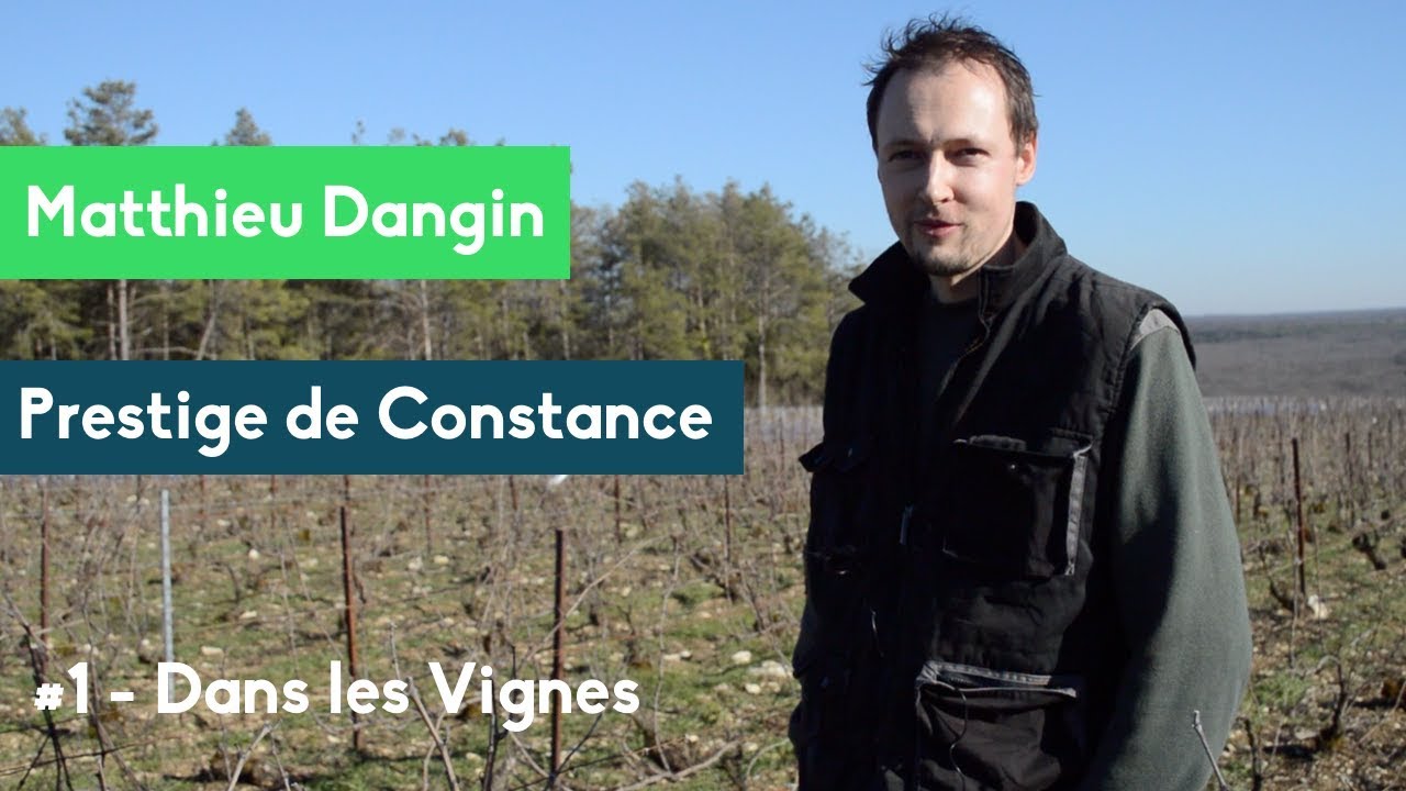 Matthieu Dangin - Dans les Vignes - Prestige de Constance 2016 - YouTube