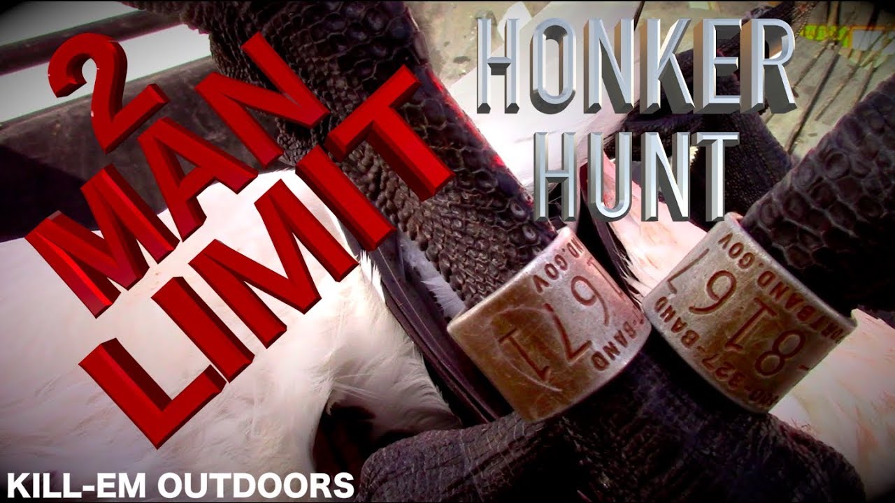 Spring Goose Season Opener 2018 - YouTube