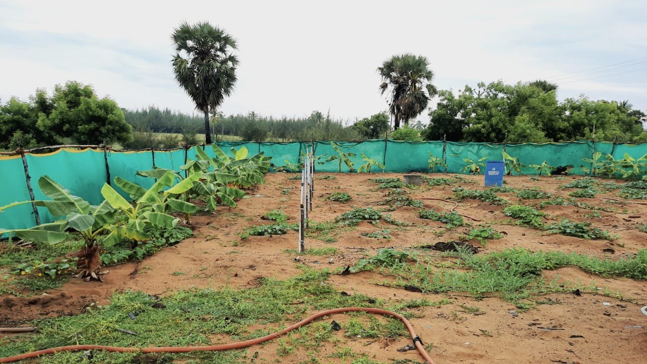 Agri Addict farm - YouTube