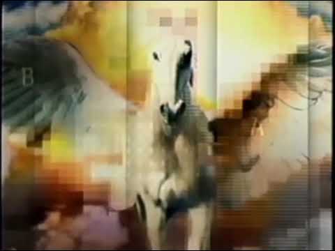 Opening To 13 Going On 30 2004 VHS (2005 Reprint)