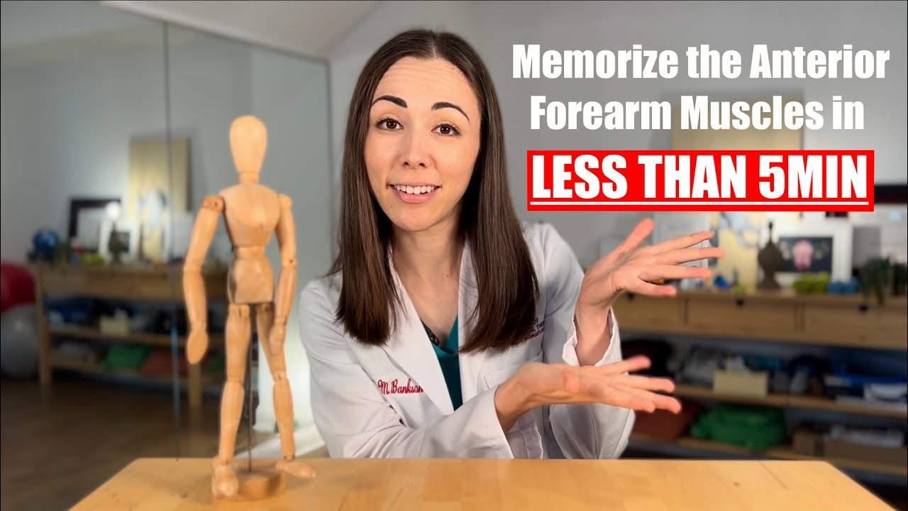 How to Memorize the Anterior Forearm Muscles in less than 5 min ...