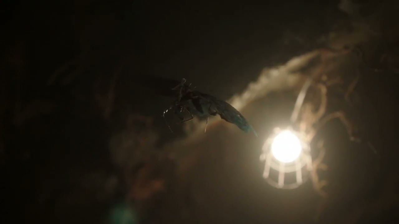 " Oh , Project Butterfly " | Ending | Episode 3 | Peacemaker | HBO MAX ...