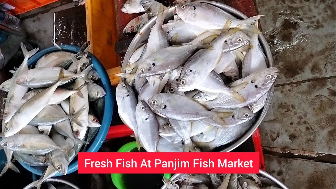 Enjoy the experience of buying fresh fish at Panjim fish market. - YouTube