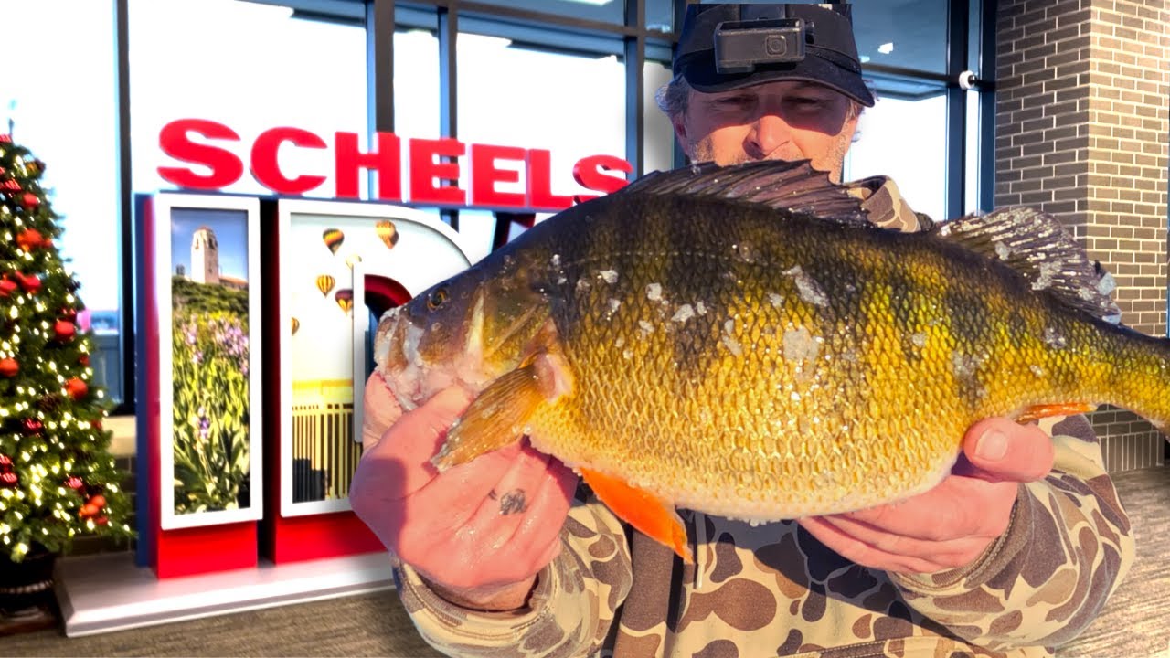 Lake Cascade GIANT Perch and HUGE Tackle Give-A-Way - YouTube