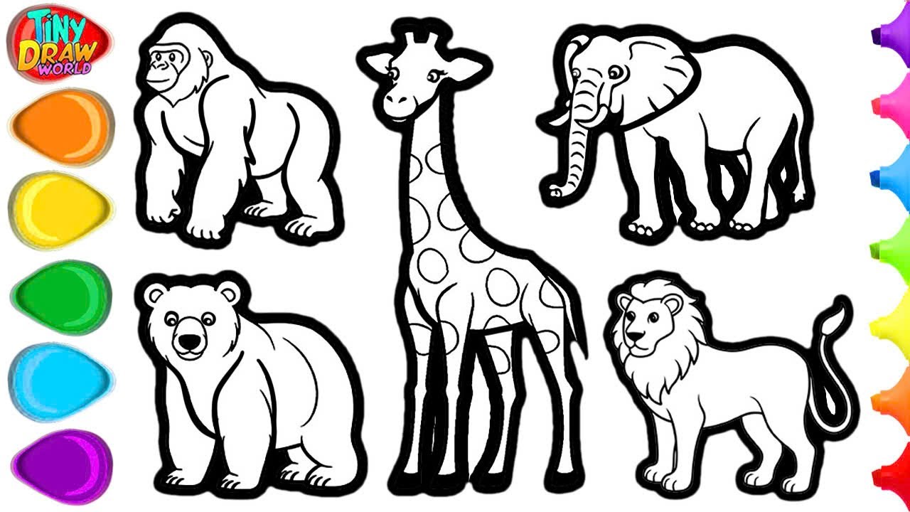 How To Draw Giraffe, Elephant, Bear, Lion & Gorilla | Easy Step By Step ...