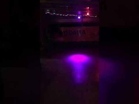 Zairah Cardoza D’Nile - Mayores (Becky G)