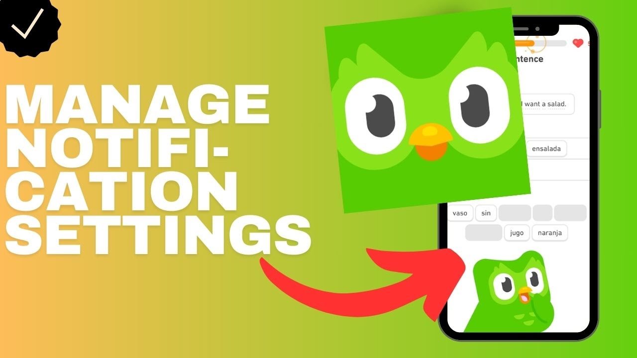 How to manage the notification settings in the Duolingo app? - YouTube