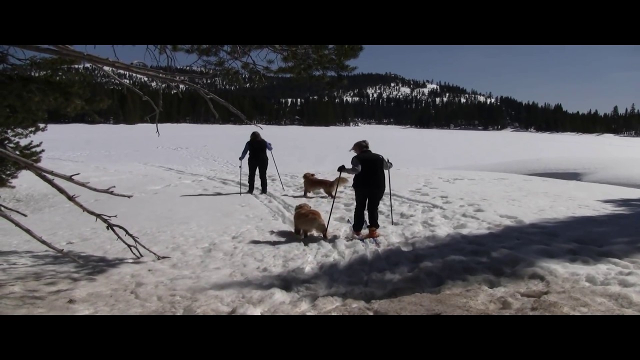 Skiing On Lake Serena With Beth Scott Hd 3 19 10 Wmv Youtube
