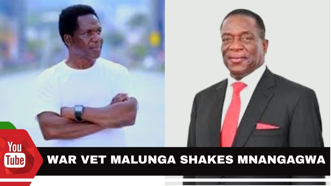 WAR VETERAN MALUNGA FACES MNANGAGWA, TELLS IM TO GO - YouTube