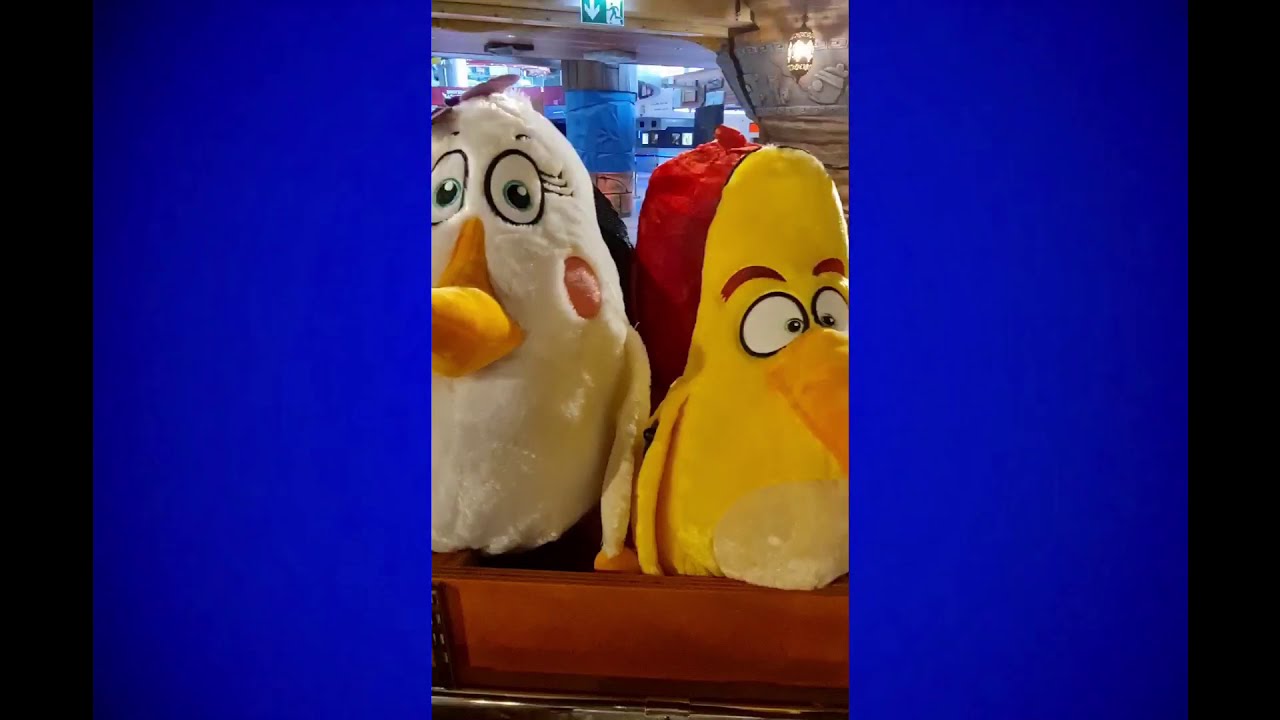 ANGRY BIRDS | QATAR | DFC #shortclips - YouTube