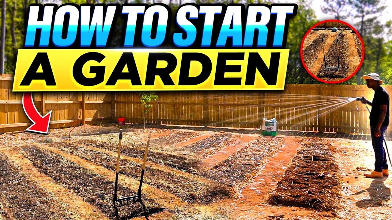 Start a Garden | Step-by-Step | Gardening Tips - YouTube