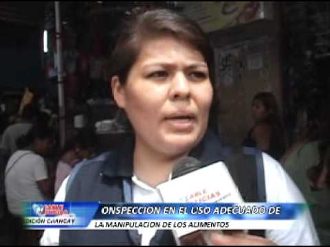 4 ANA ABANTO COORDINADORA DE INSPECION DE MANIPULACION DE ALIMENTSO ...