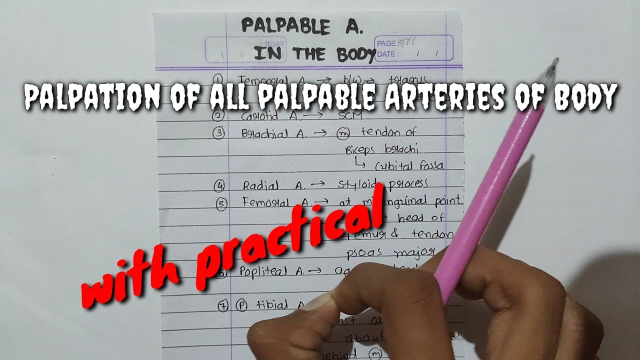 Palpation Of All Palpable Arteries Of Body Youtube
