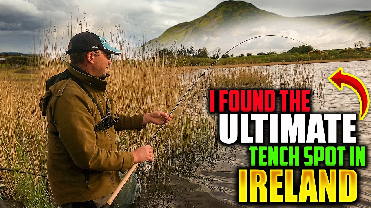 "I Found the Ultimate Tench Spot in Ireland!" #tench #tench fishing ...