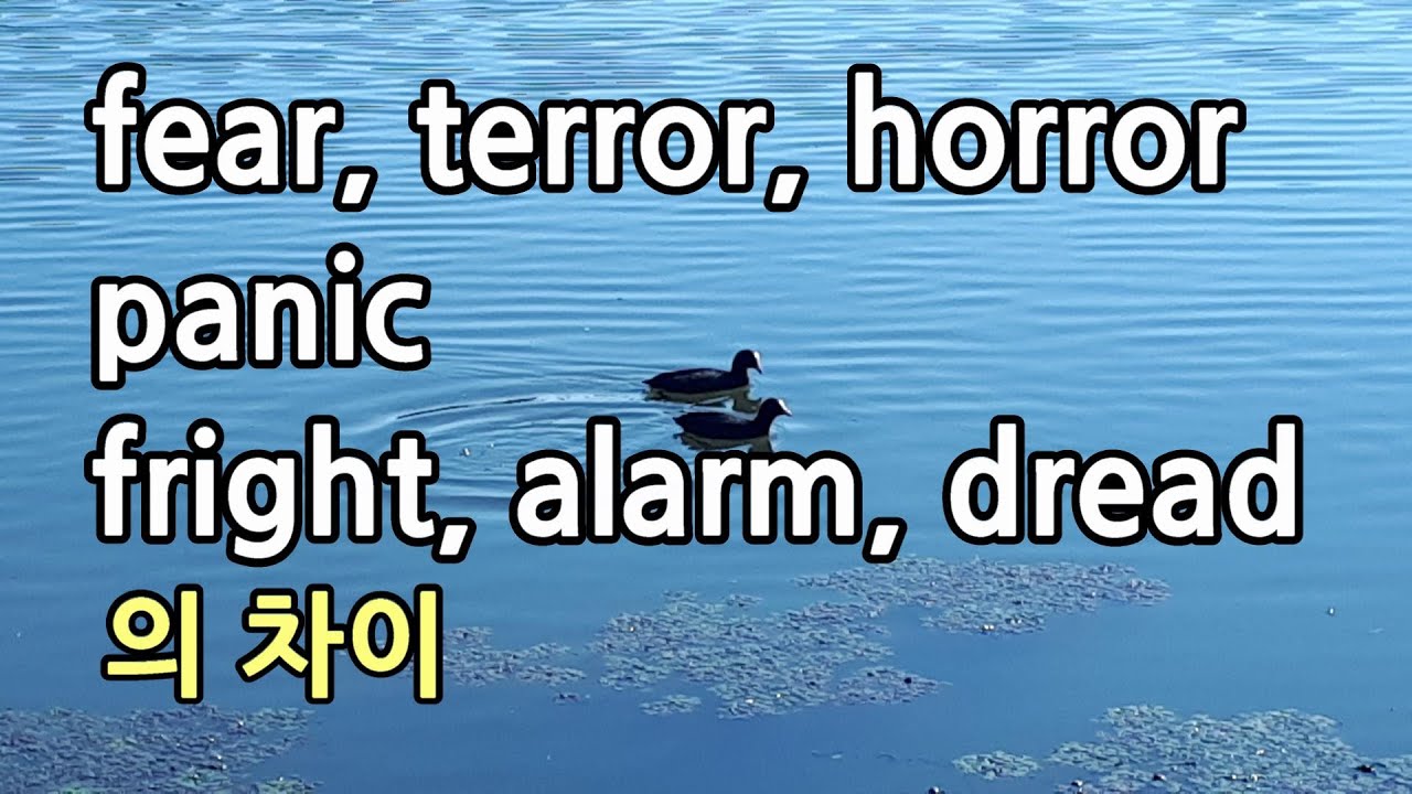 fear, terror, horror, panic, fright, alarm, dread의 차이 - YouTube