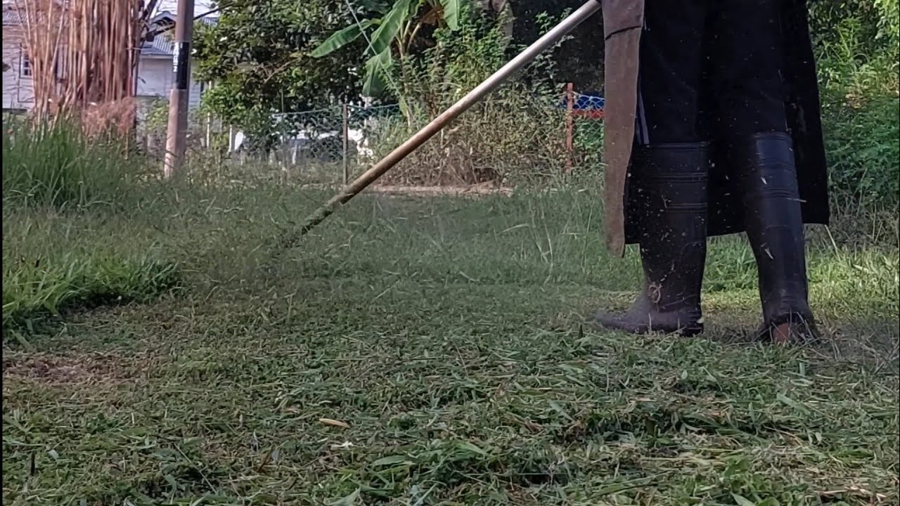 POTONG RUMPUT JARUM || KEMUNCUP - YouTube