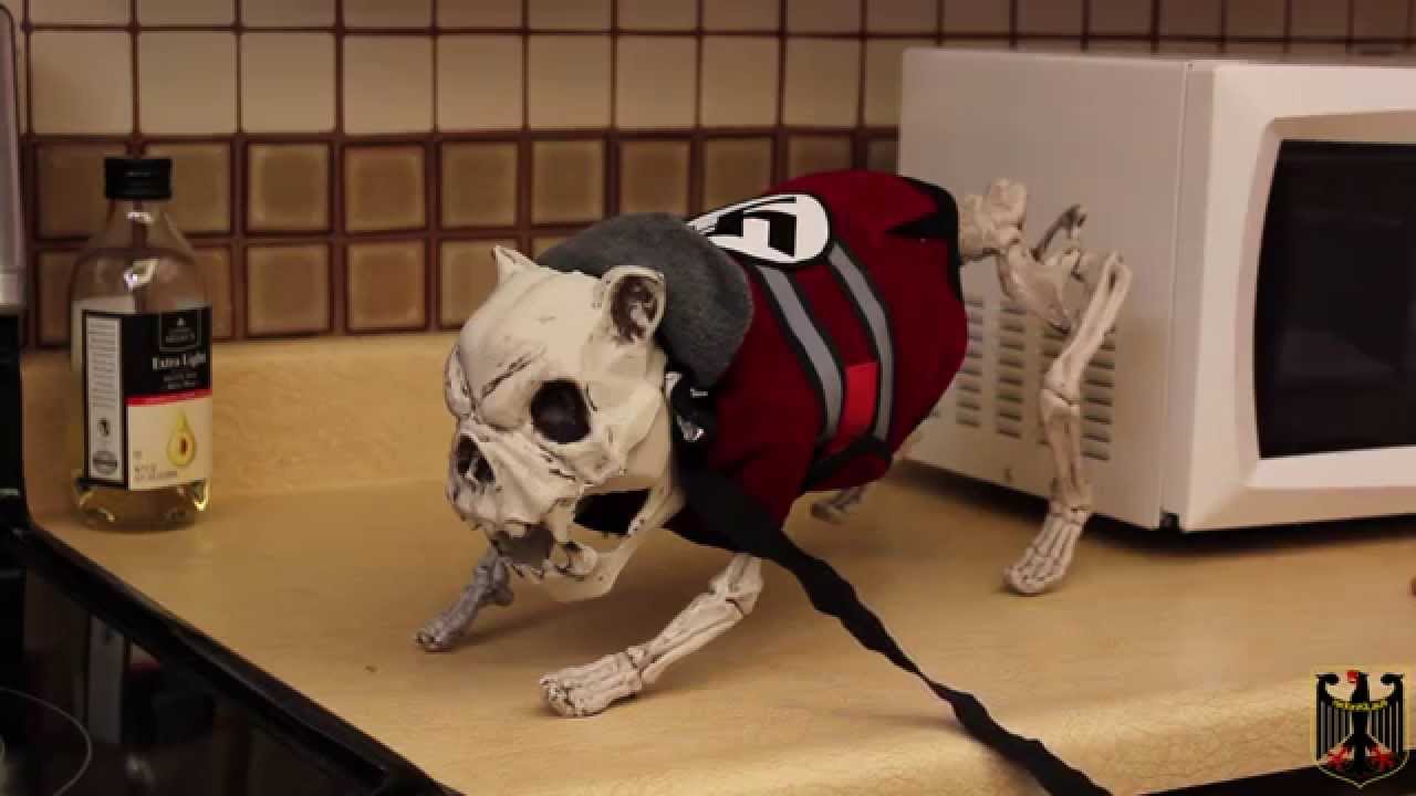 Real Life Nazi Zombie Hell Hound Build - YouTube