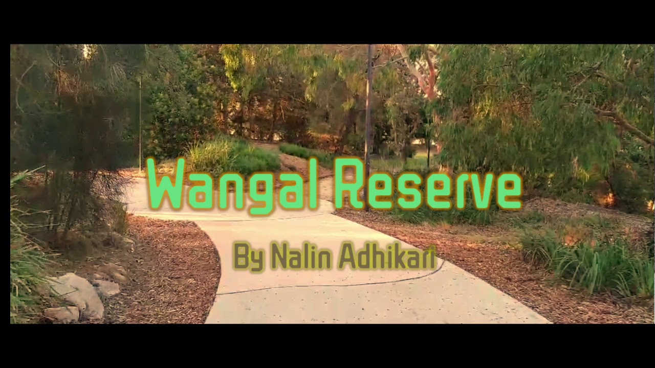 Wangal Reserve - YouTube
