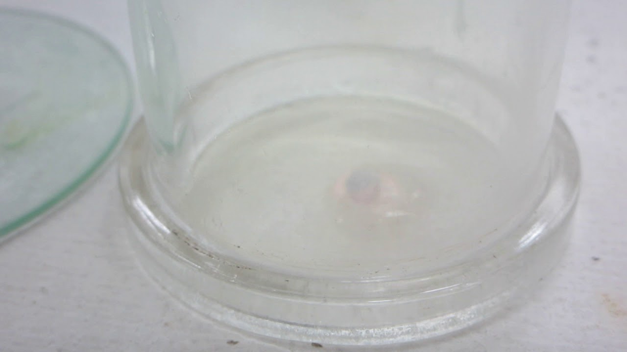 Sodium and chlorine - small scale reaction MVI 0251 - YouTube