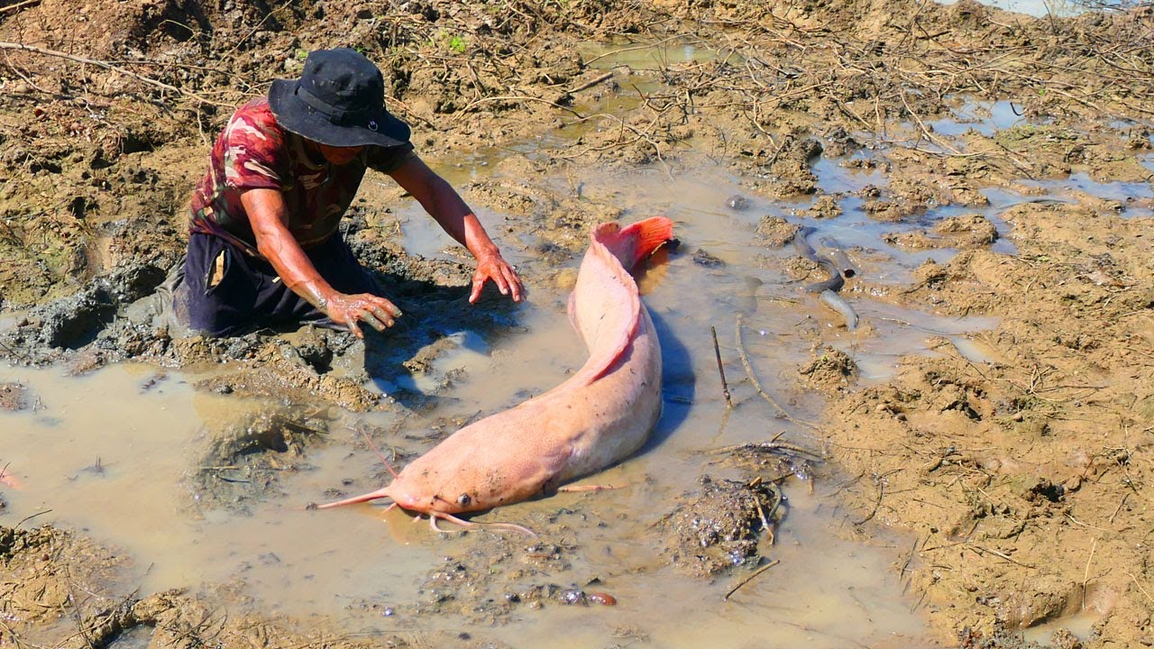 amazing hand fishing | traditional hand fishing Catch Big Catfish - YouTube