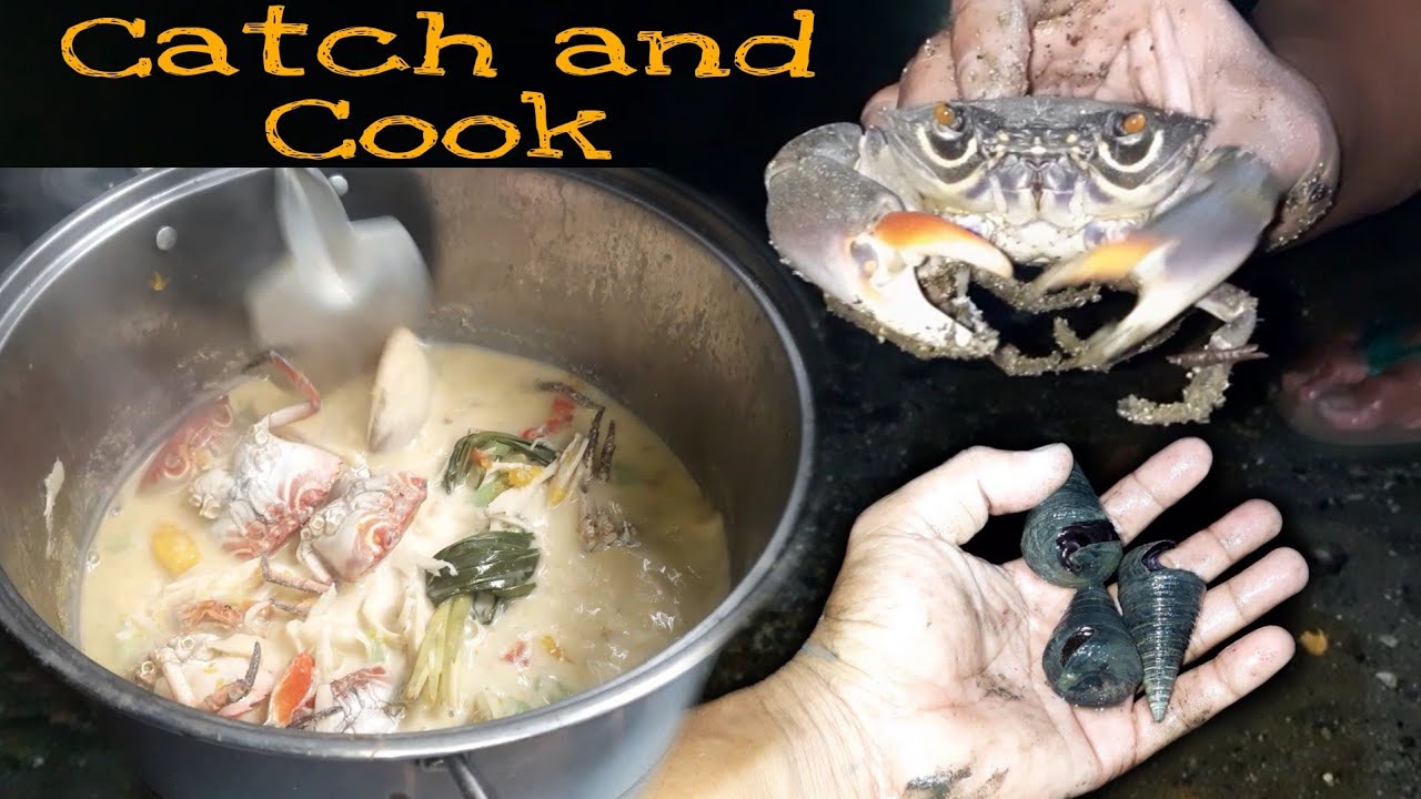 Ep. 33 Suga-suga Crab at Bagongon Night Hunting (Catch and Cook ...