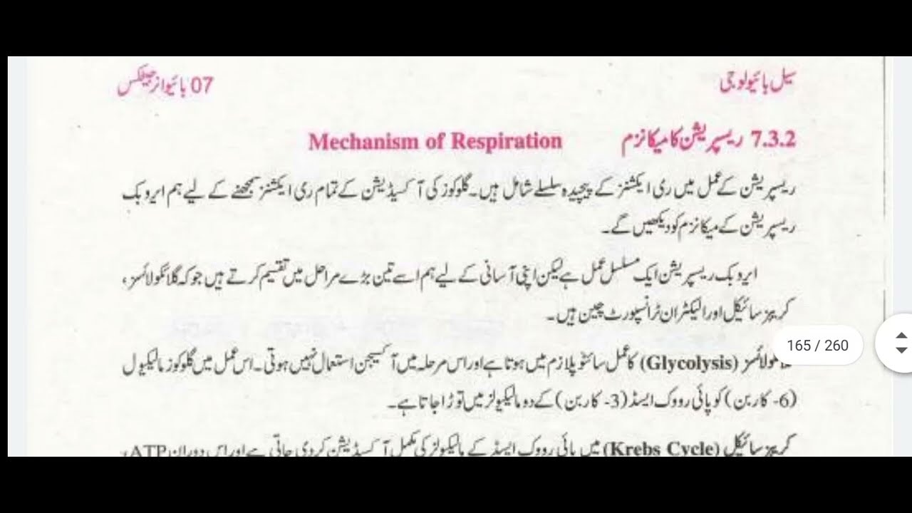 Mechanism of Respiration ,The Energy Budget of Respiration,Chapter 7 in ...