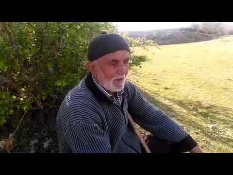 Hacı emmi ve koyunları