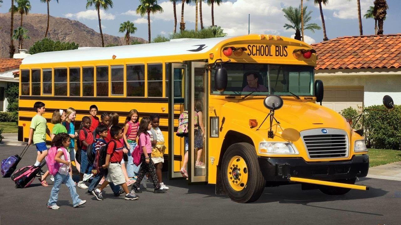 Top 5 American Yellow School Bus Facts | Magic School Bus | Bus Buddies ...