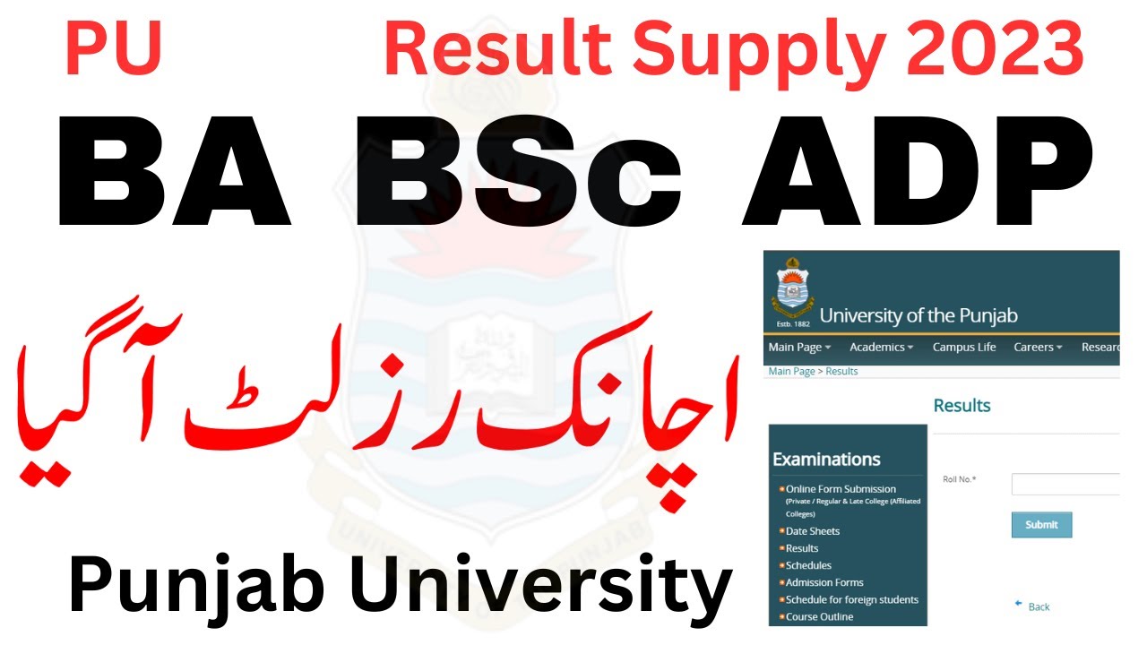BA BSc ADP Supply 2023 Result Announced PU - YouTube