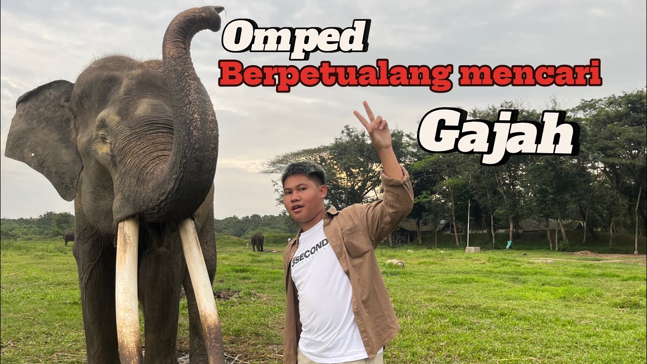 Dibalik layar Omped visual (Omped berpetualang mencari gajah) - YouTube