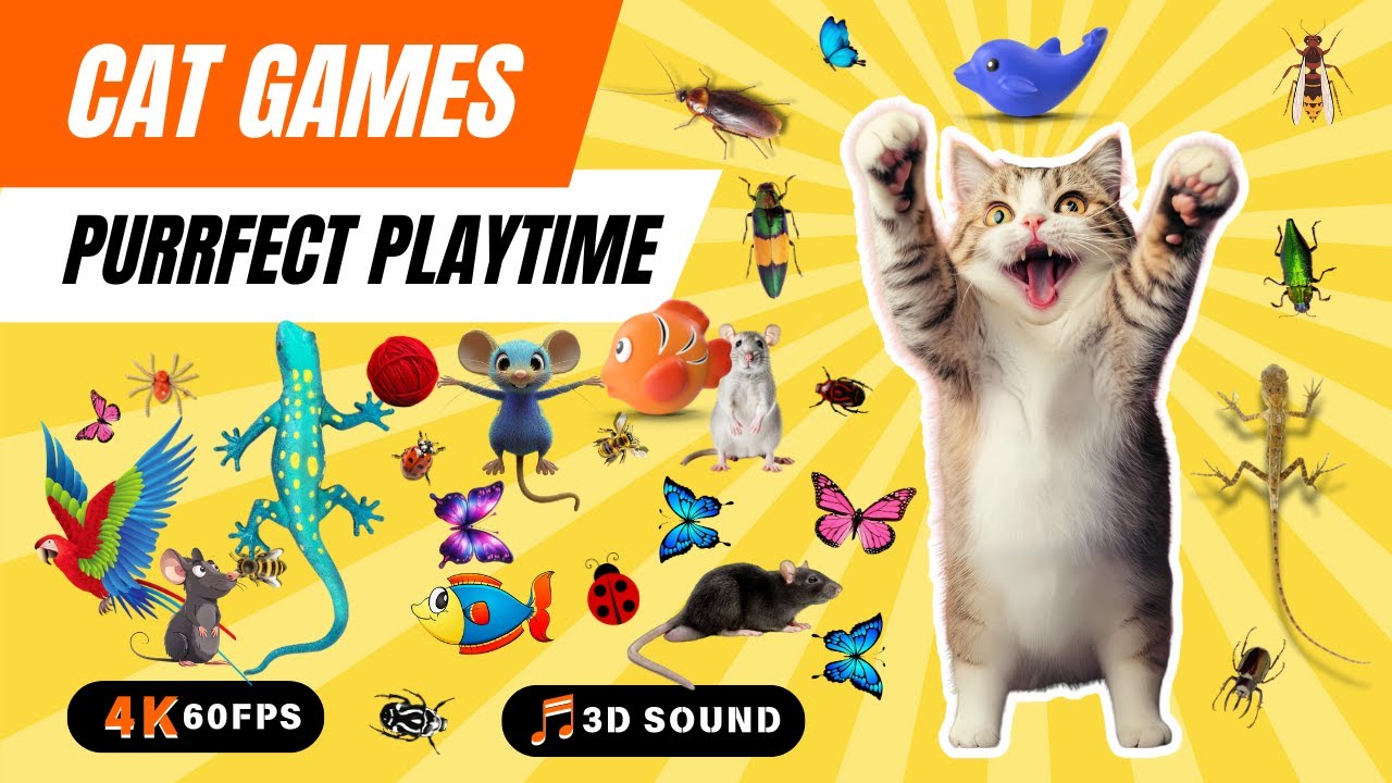 Cat Games | Ultimate Game Rats, Fish & Yarn Balls Compilation (10 in 1 ...