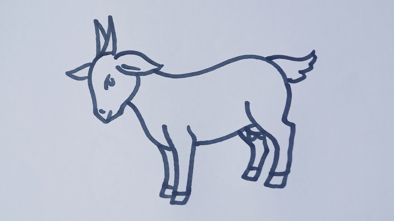 How to draw a Goat easy step by step 🐐 animal drawing - YouTube
