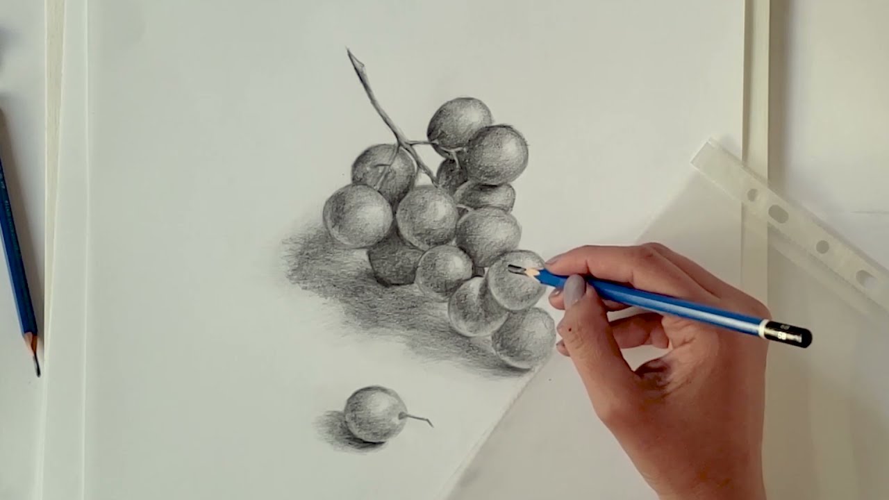 تعلم رسم العنب رسم الفواكة باقلام الرصاص طبيعة صامتة Youtube