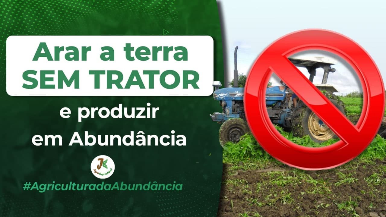 O Que Significa Aragem - LIBRAIN