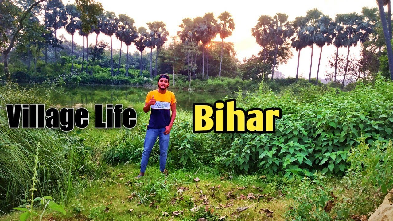 VILLAGE LIFE IN BIHAR | INDIAN VILLAGE LIFE | REAL TRADITIONAL VILLAGE ...