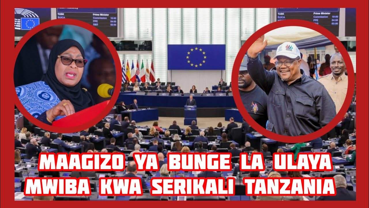 BUNGE LA ULAYA LAIBANA TANZANIA KESI YA LISSU "AACHIWE MARA MOJA BILA ...